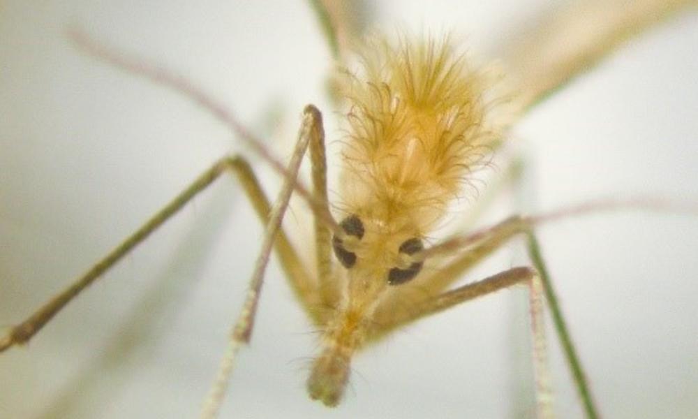 Home | Institute for Science Innovation and Society